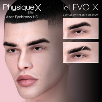 Second Life Marketplace - Physique X - Azer Eyebrows HD (m) lel EVO X - Unpacker